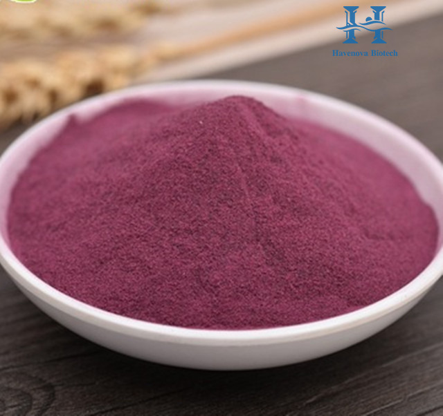 best Blackcurrant powder, buy Blackcurrant powder, Blackcurrant powder factory price