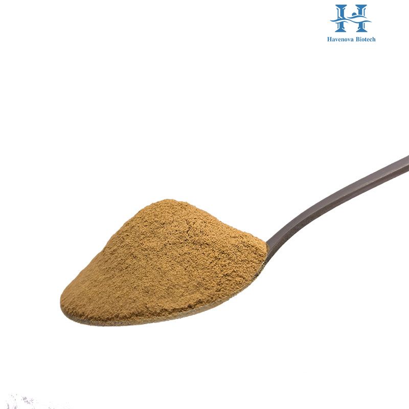 Milk Thistle Extract, Milk Thistle Extract Powder, 40% 80% Milk Thistle ...