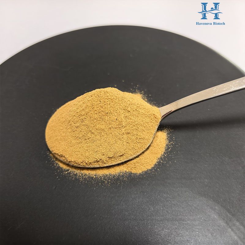 fruit powder coffee, coffee fruit flour, coffee berry fruit powder