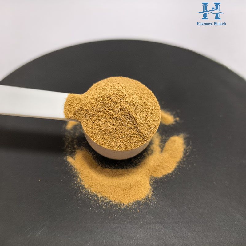 Snow Lotus Extract, snow Lotus Herb Extract Powder, snow Lotus Powder