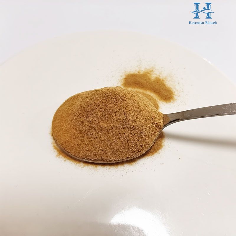 gynostemma extract, Gynostemma Extract Powder, gynostemma leaf extract