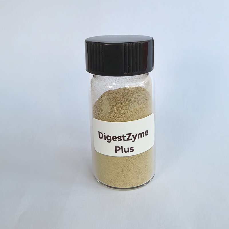 Improve Protein Utilization with Protease Enzymes in Animal Feed