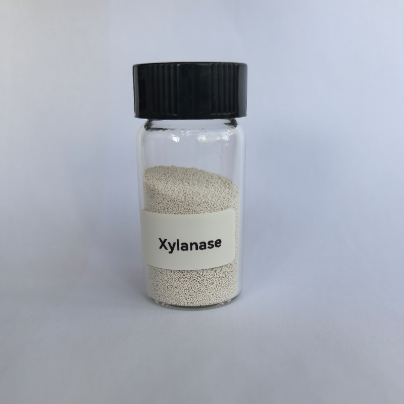 Improve Protein Utilization with Protease Enzymes in Animal Feed