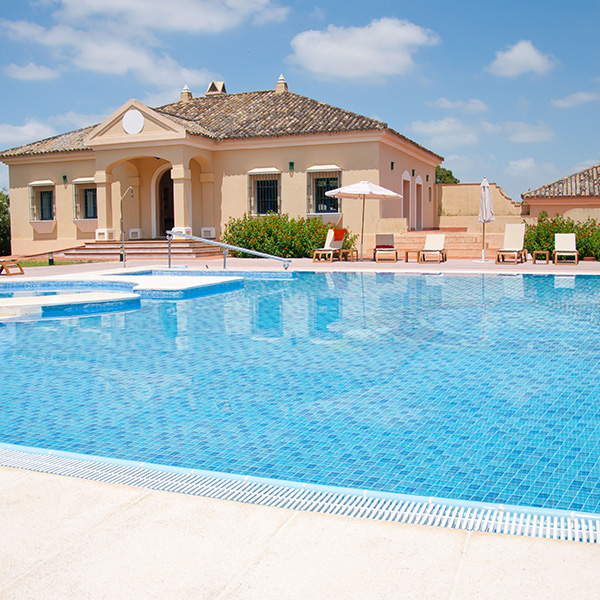 swimming pool murals,custom pool mosaics