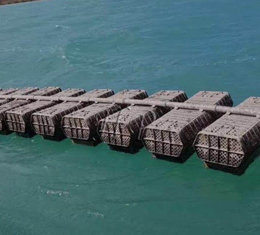 oyster flip farm basket