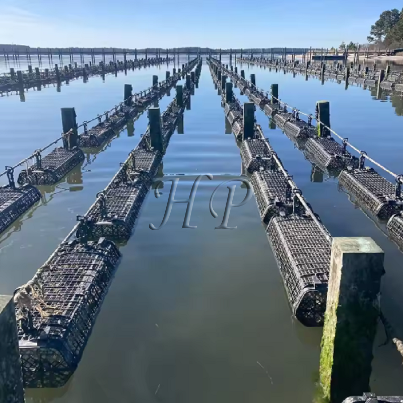 How much does it cost to set up an oyster farm?