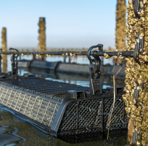 Flip Farm Oyster Baskets Sydney