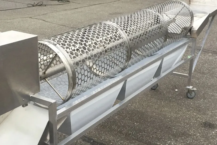 What equipment is needed for oyster hunting