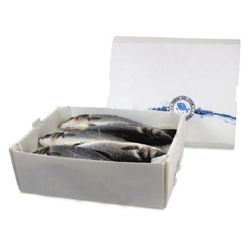 Fresh PP Seafood Box – Premium Quality Delivered