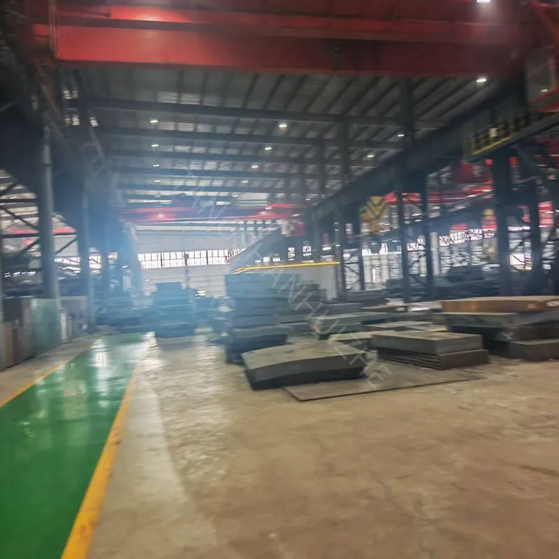 What are the common grades of mid-thick steel plates?