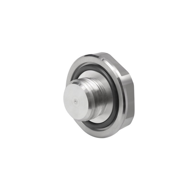 Lanhe Stainless Steel Blank Plugs