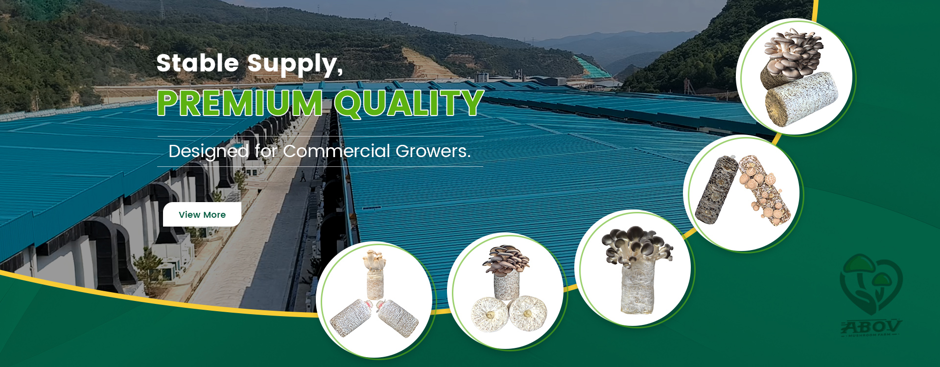 Ready to Fruit King Oyster Mushroom Block – Easy & High Yield, Abov ...