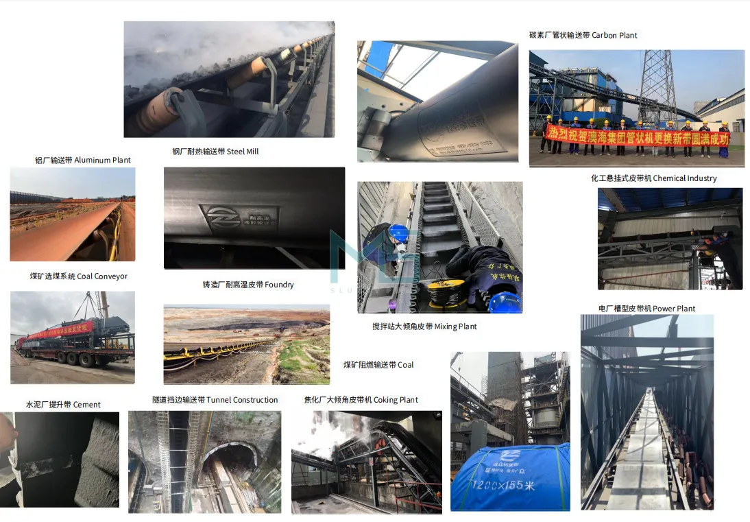 Elevator Conveyor Belt