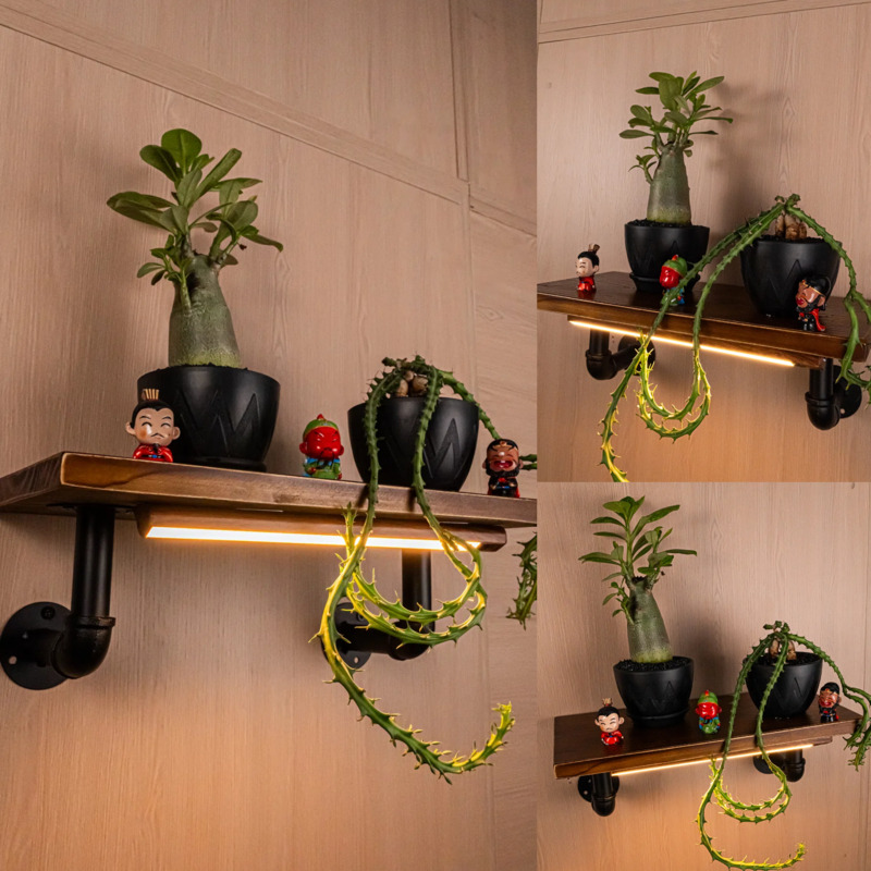 Shelf Lamps, LED Shelf Lighting, Integrated Display Lights