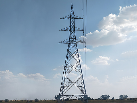 2022 India 220kV Transmission Line Project