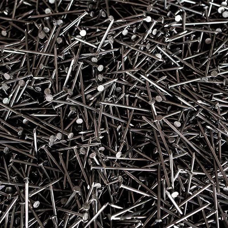 High-Quality Common Wire Nails for All Projects