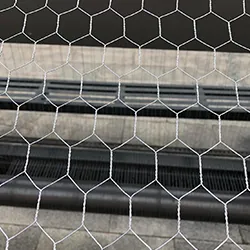Chicken wire fence manufacturer and exporter from China Qsource