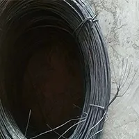 Soft Twisted Black Annealed Wire Factory in China