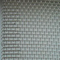 galvanized window insect mesh manufacturer by China Qsource