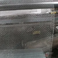 galvanized window insect mesh manufacturer by China Qsource