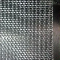 galvanized window insect mesh manufacturer by China Qsource