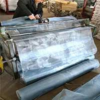 galvanized window insect mesh manufacturer by China Qsource