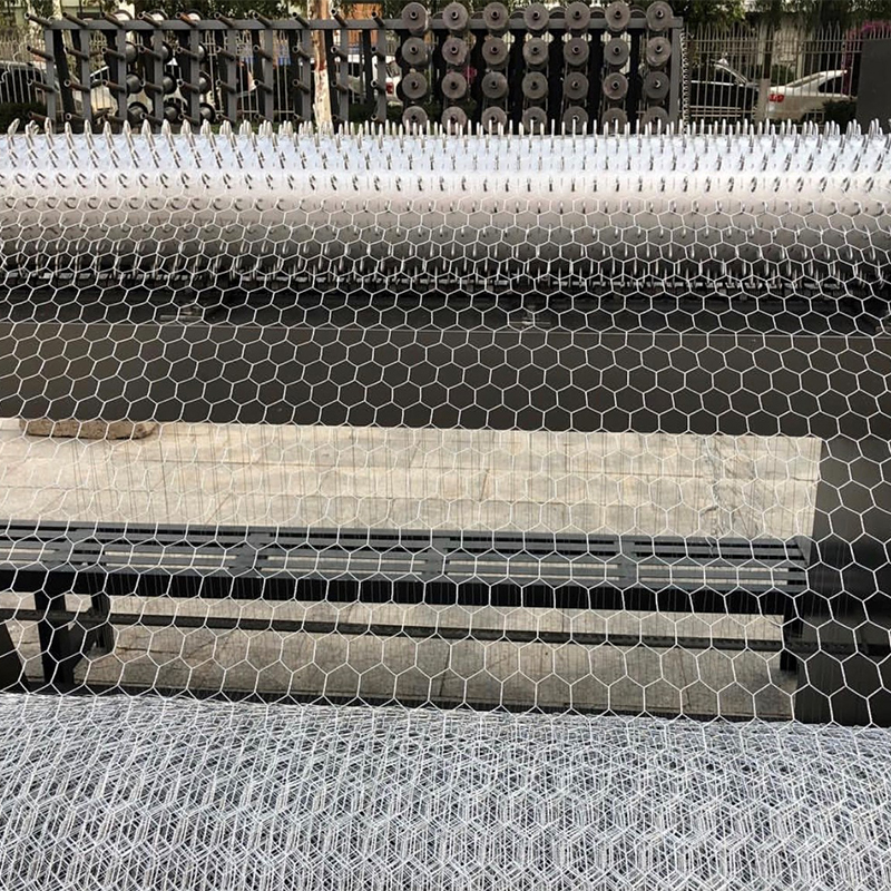 Chicken wire fence manufacturer and exporter from China Qsource