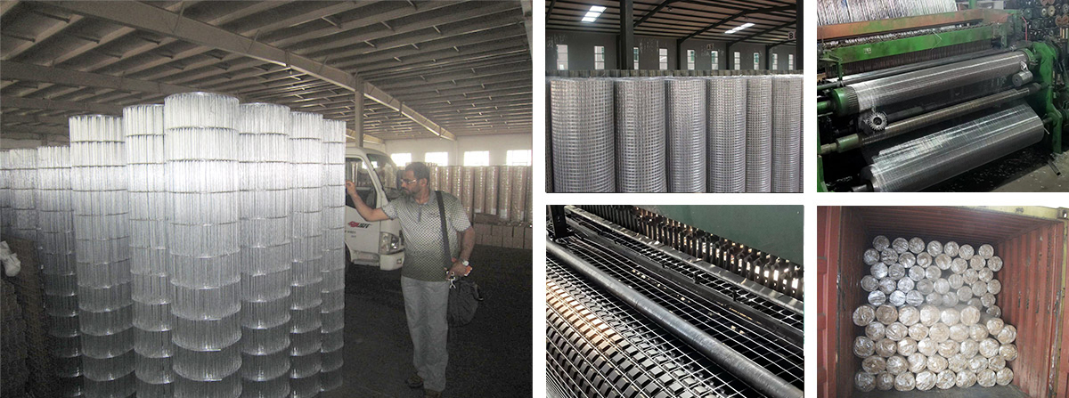 Stainless Steel Wire Rope Mesh, Fench Mesh Manufacturer