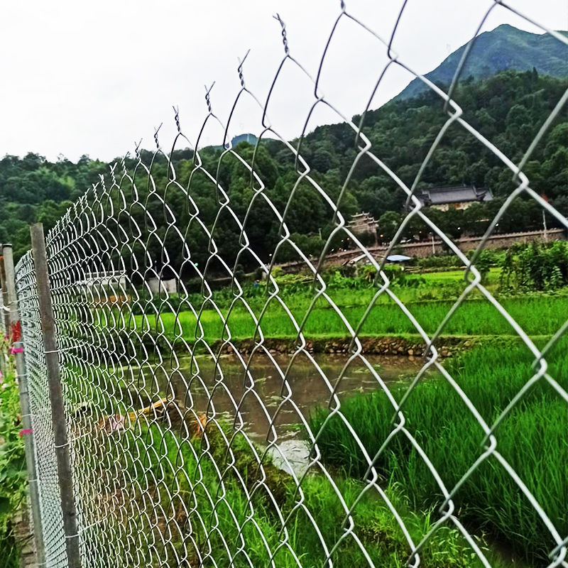 Galvanized Chain Link Fence: Strong & Affordable Fencing