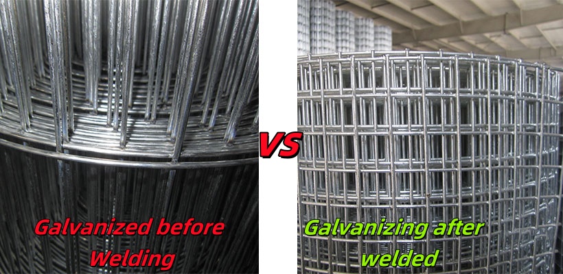 Differences Between Hot-Dip Galvanized Welded Wire Mesh and Welded ...