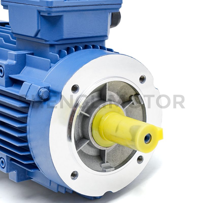 MS Series Three Phase Electric Motor