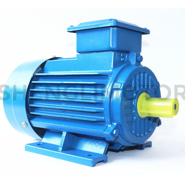 y2-series-three-phase-electric-motor-613167