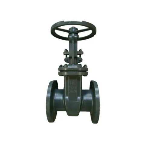 WCB Gate Valve
