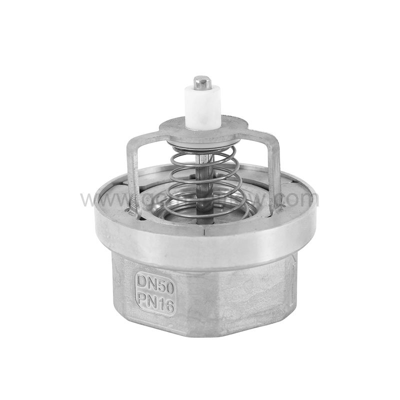 Premium Stainless Steel Vertical Check Valve Solutions.