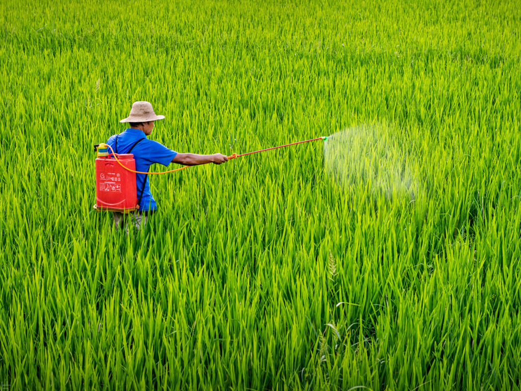 N-methylaniline for Pesticide Industry