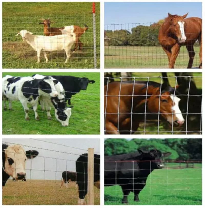 Demountable Cattle Sheep Yard Fence & Horse Round Yard.