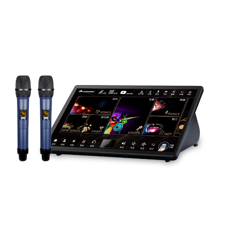 Advanced Karaoke Machine Professional Setup for Superior Audio