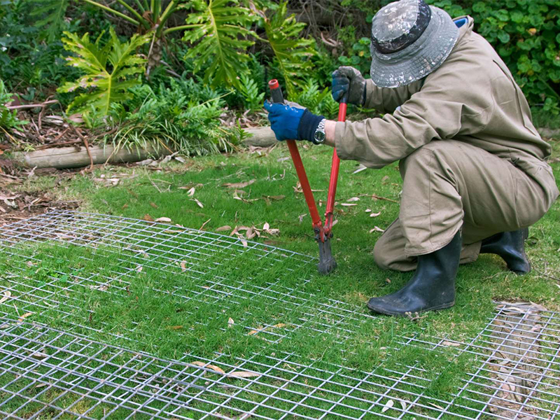 Welded Wire Mesh: Versatile Applications and Easy DIY Guide for Home ...