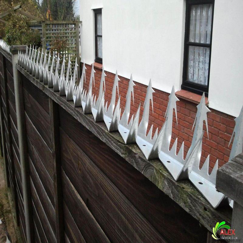 Wall Spikes
