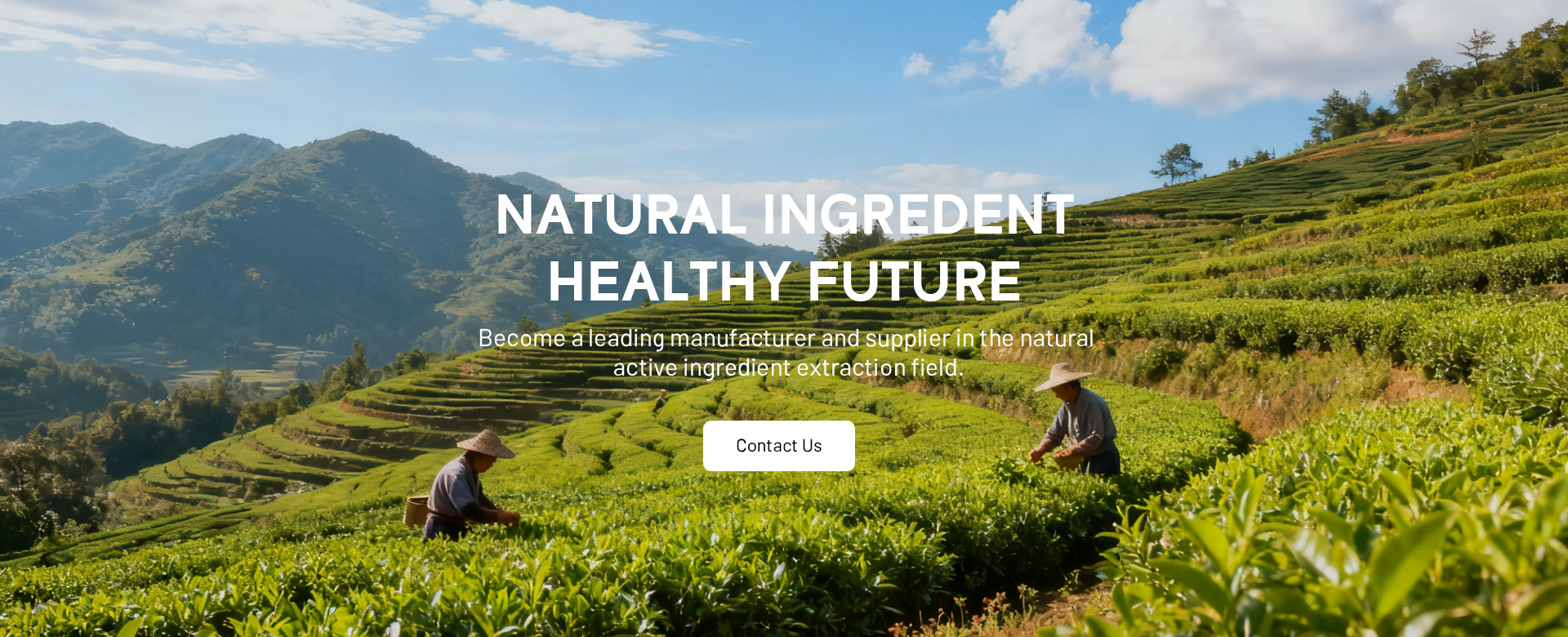 High-Quality Food and Beverage Additives for Safe, Stable Formulations ...