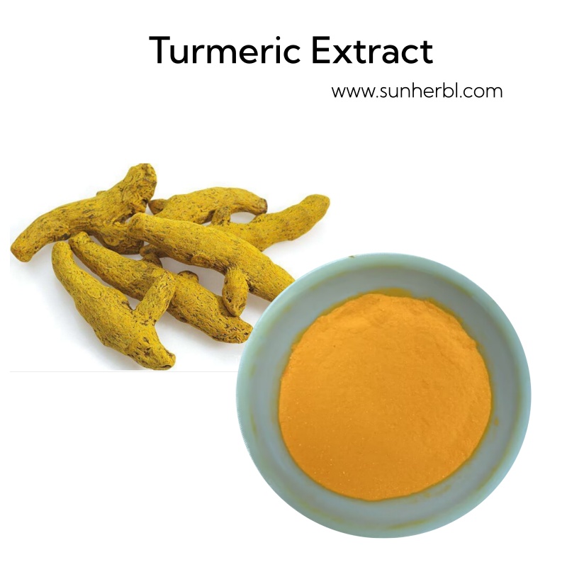 Turmeric Extract