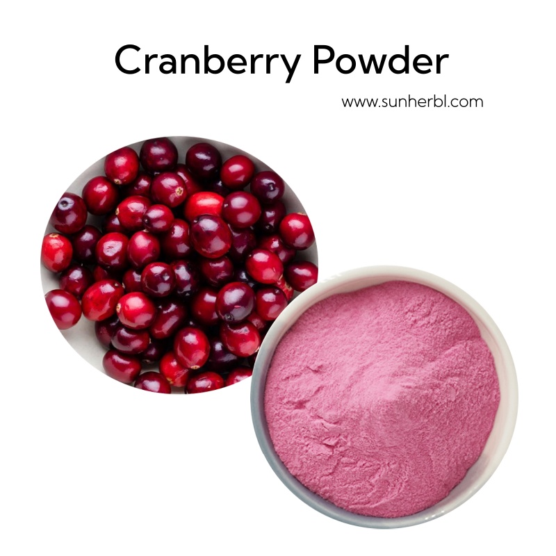 Freeze Dried Cranberry Powder