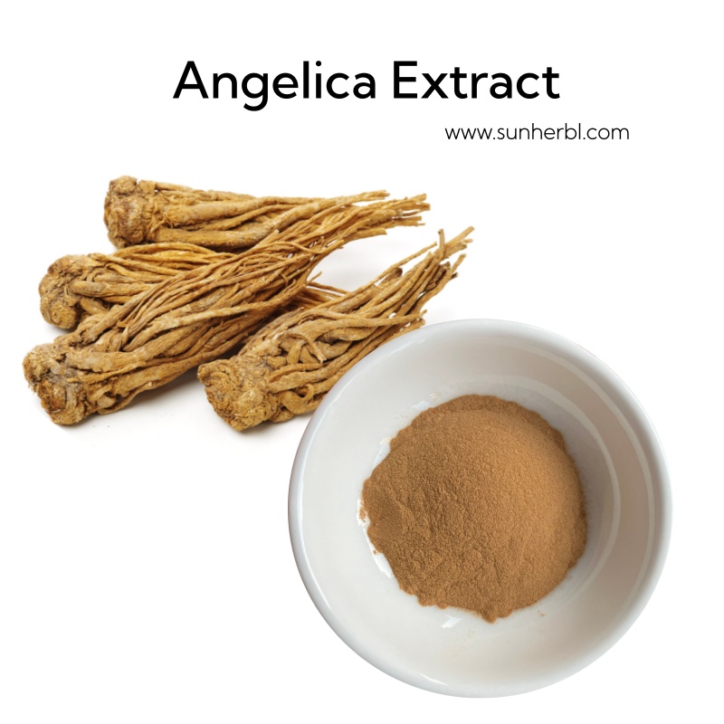 ‌Angelica Extract‌