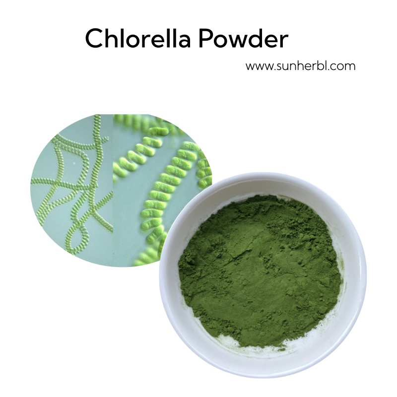 chlorella powder Super food