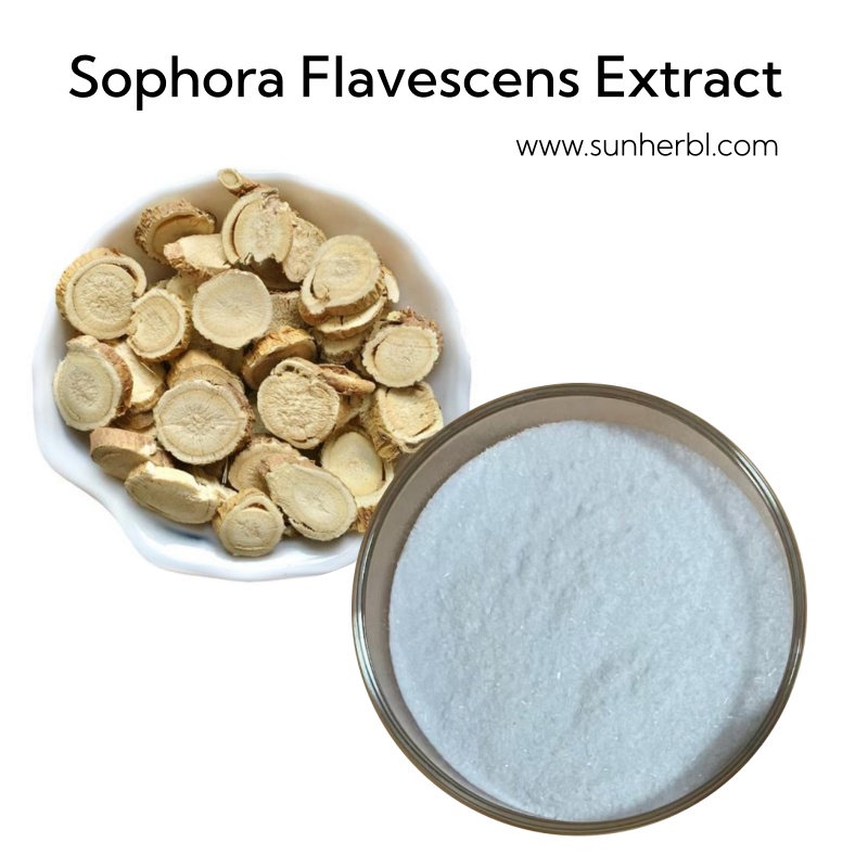 Sophora Flavescens Extract‌, Matrine