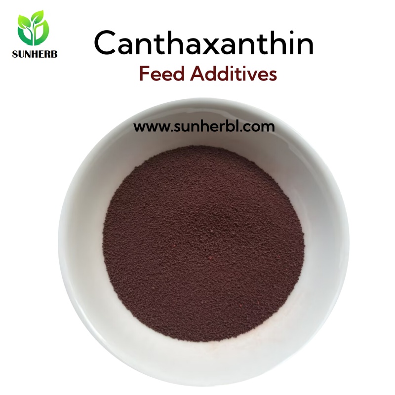 High-Quality Food and Beverage Additives for Safe, Stable Formulations ...