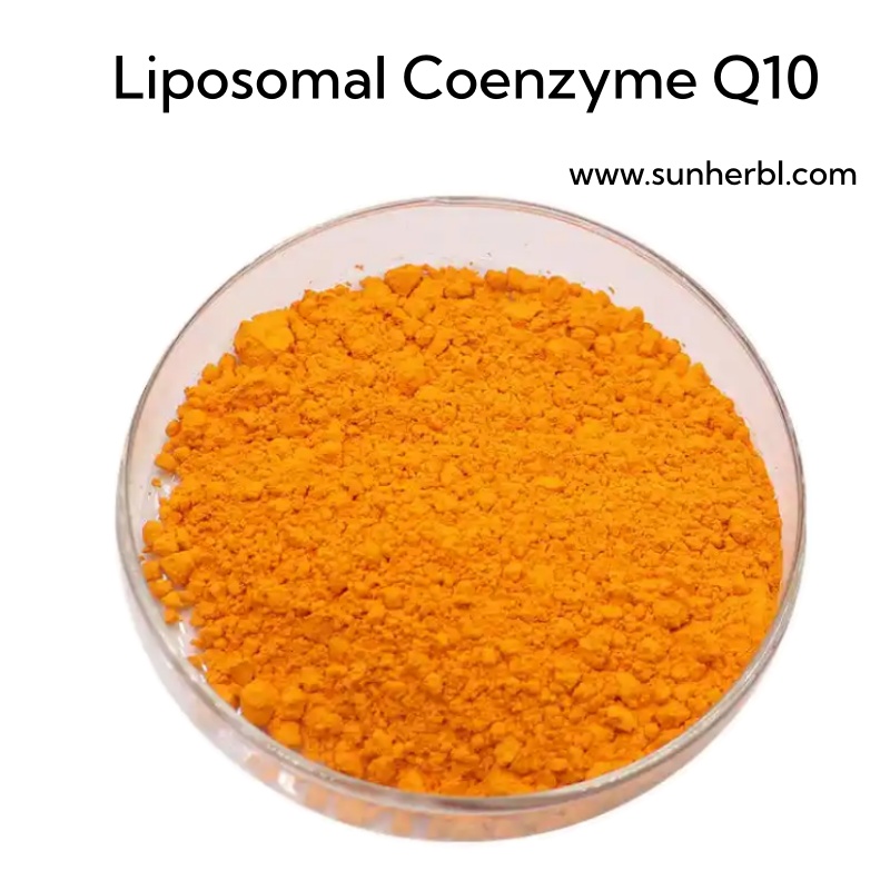 Liposomal Coenzyme Q10 Powder
