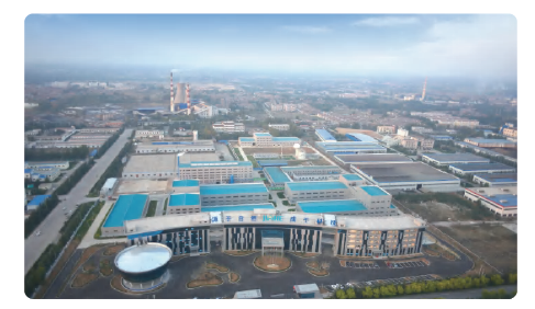 Sebacic Acid CAS No 111-20-6