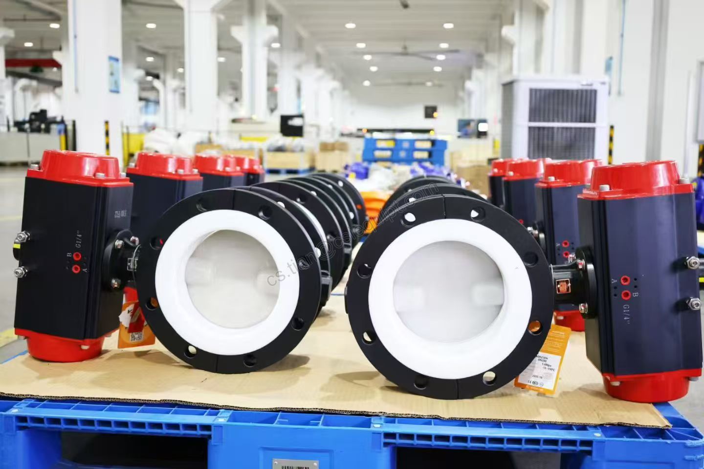 Butterfly Valve