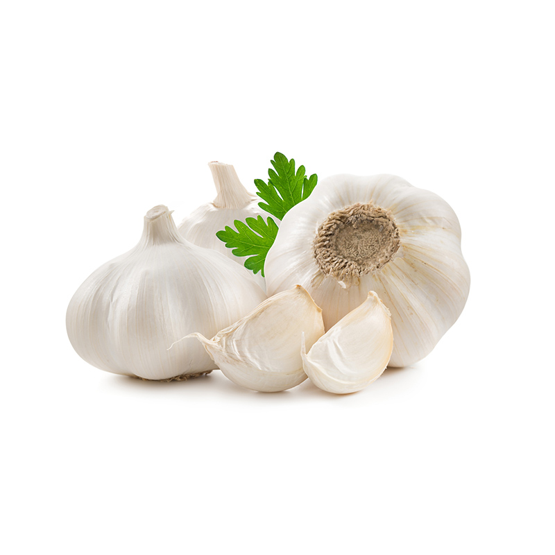 Garlic Exporter, Fresh Agricultural Products Supplier, Great Trading